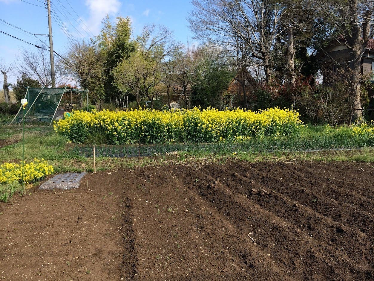 プライベートに使えるログハウスと庭の写真17