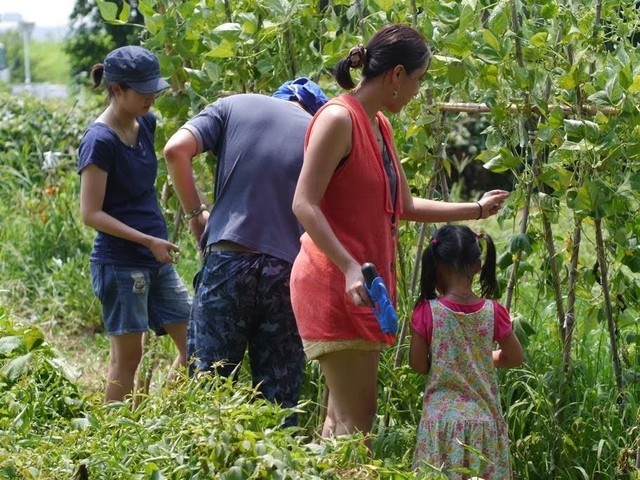 プライベートに使えるログハウスと庭の写真22