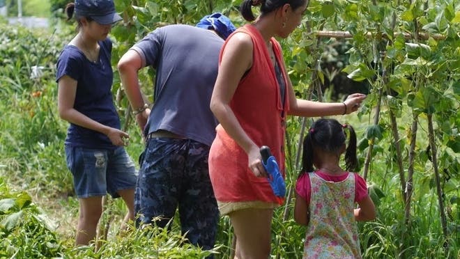 プライベートに使えるログハウスと庭の写真22