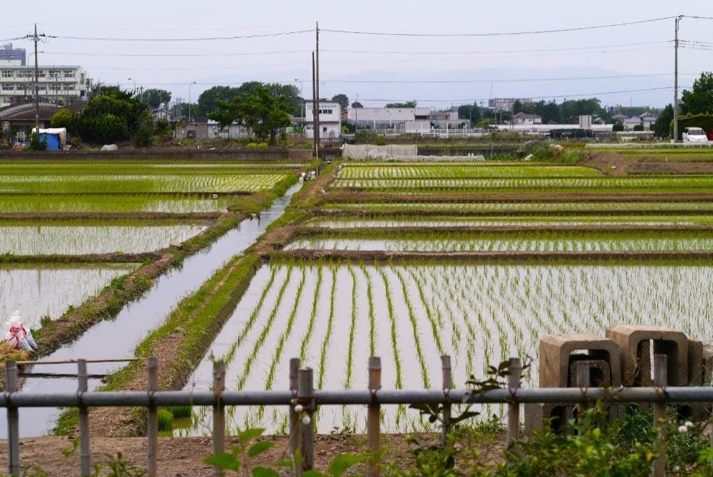 プライベートに使えるログハウスと庭の写真23