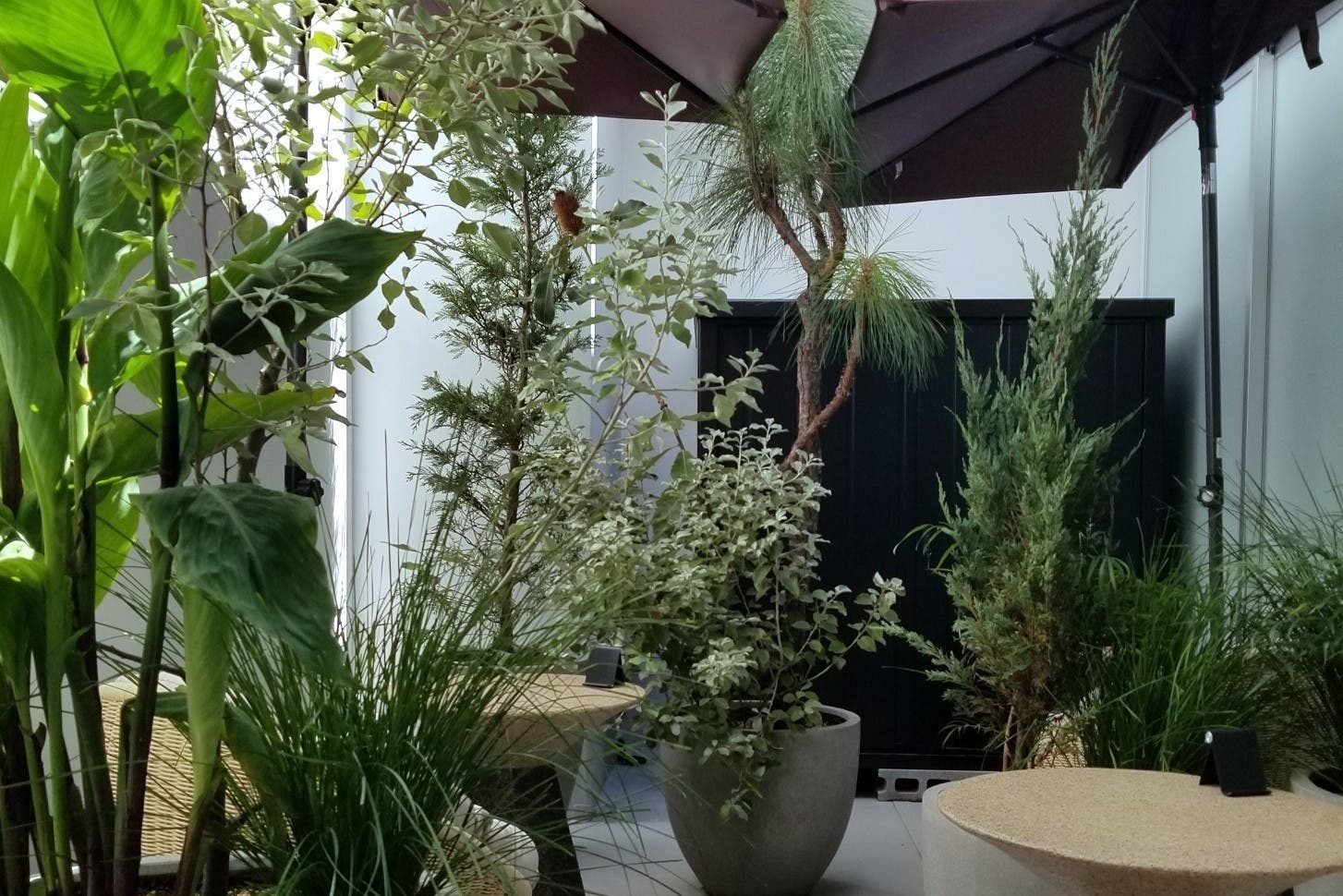 西新宿ビル群の大パノラマ・100㎡家具付き８F＋ルーフトップ貸切 新宿駅6分（場所貸しのみ・飲食物のご提供は別途ご相談ください）の写真5