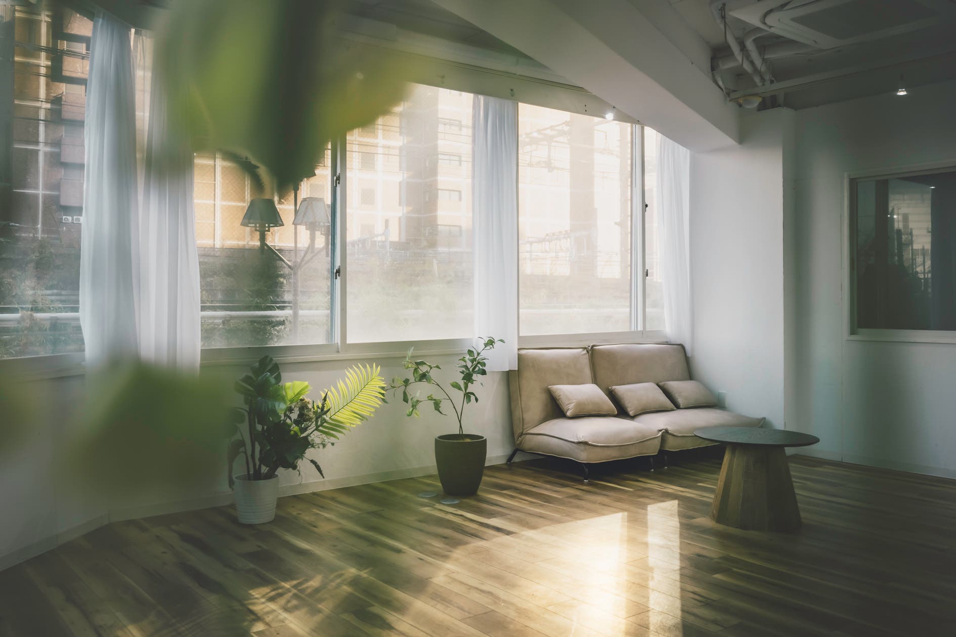 スペモ📷クリスマス🎄忘年会🍻パーティー🥂女子会🎀撮影Studio🔆コスプレ👗460_Stella-Studio新宿の写真5