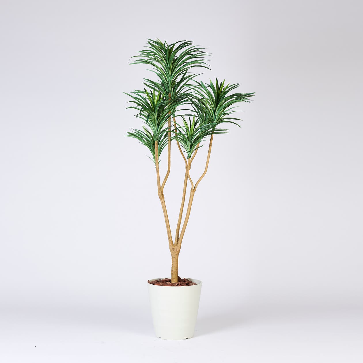 グリーン01の画像1