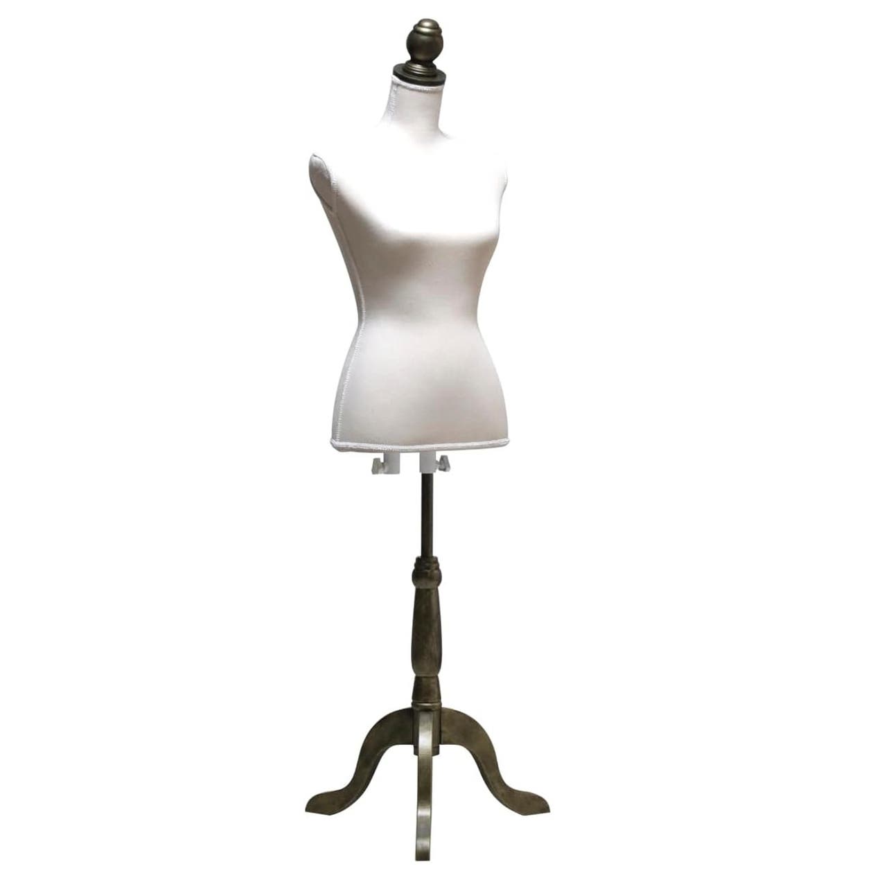 トルソーの画像1