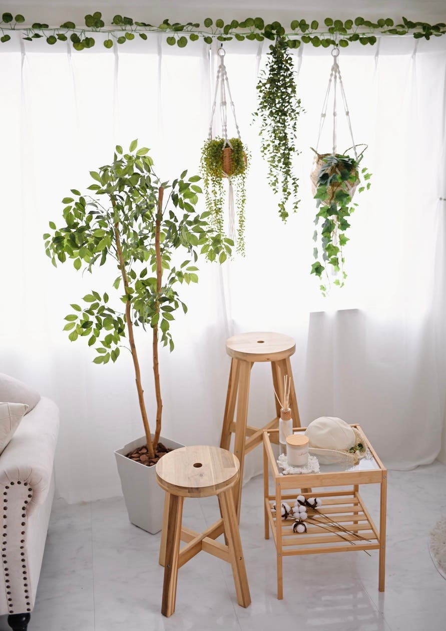 期間限定クリスマスツリー🎄「自然光ブース・ピンクブース・ゲーミングブース・ネオン・カラーペーパー(背景紙)」池袋駅〜東上線5分の写真6