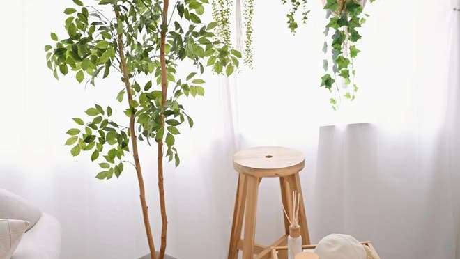 期間限定クリスマスツリー🎄「自然光ブース・ピンクブース・ゲーミングブース・ネオン・カラーペーパー(背景紙)」池袋駅〜東上線5分の写真6