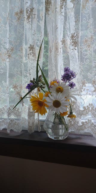 【平日春・秋限定】隠れ家コテージ／美山の写真5