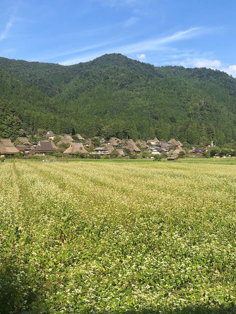 【平日春・秋限定】隠れ家コテージ／美山の写真6