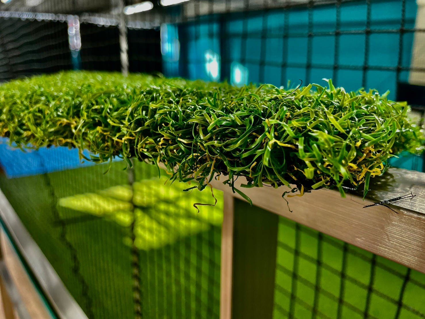 【個人・チーム練習・マンツーマンレッスン・運動教室利用に最適】調布IC隣・西調布駅から徒歩10分・完全貸切・撮影利用可・駐車場有の写真3