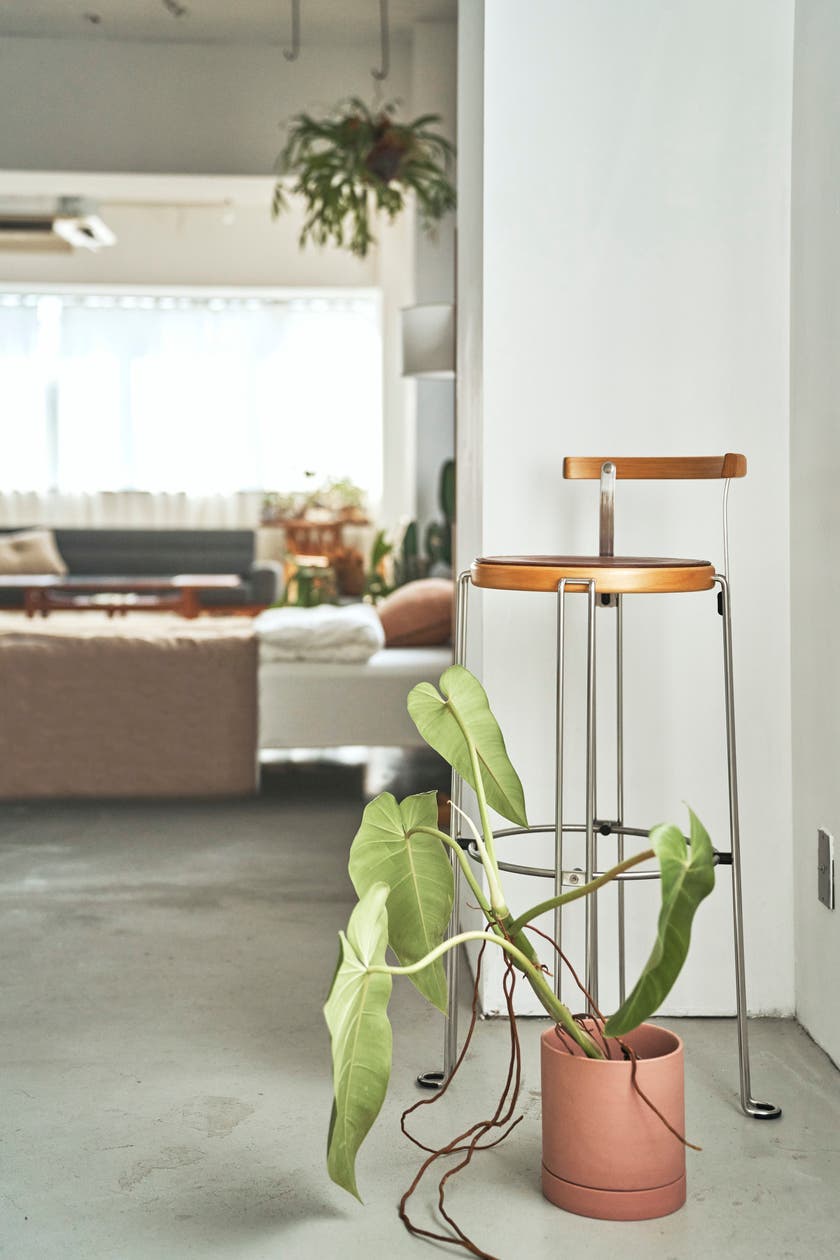 南向き/自然光が入るスタジオ/文京区/江戸川橋駅徒歩4分/小道具も豊富の写真15