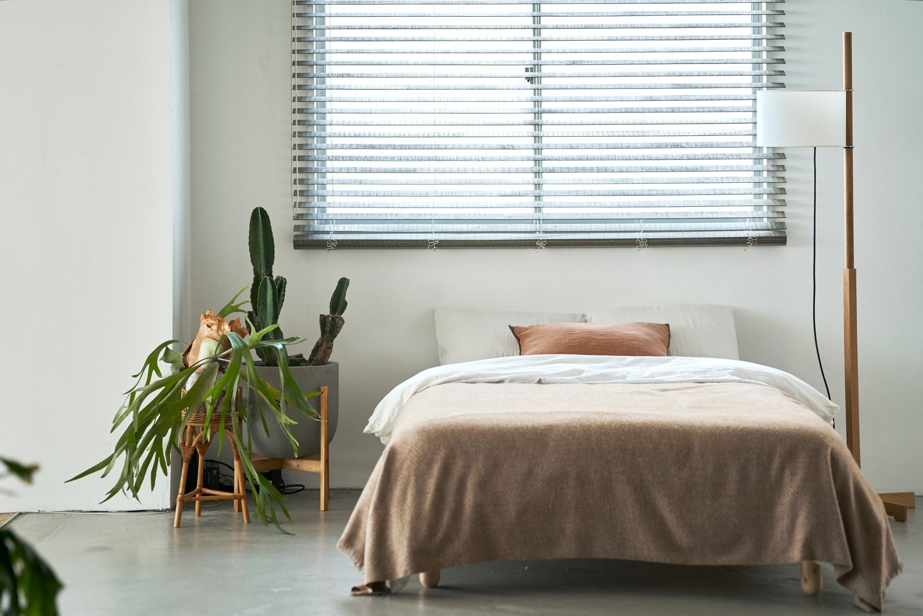 南向き/自然光が入るスタジオ/文京区/江戸川橋駅徒歩4分/小道具も豊富の写真18