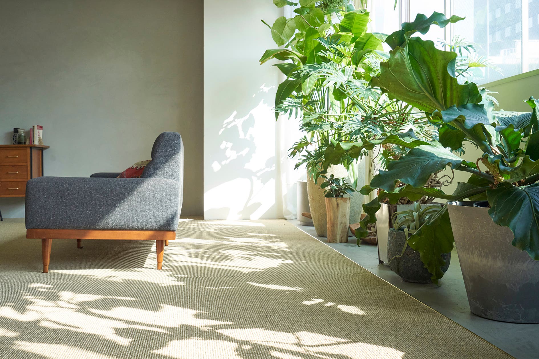 南向き/自然光が入るスタジオ/文京区/江戸川橋駅徒歩4分/小道具も豊富の写真21