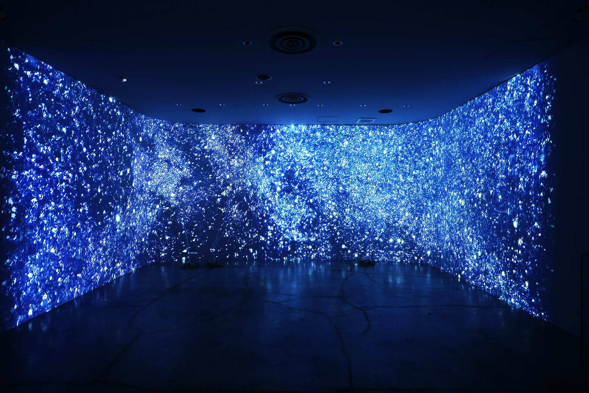 壁一面にプロジェクターが映せるスタジオ・音出しOK！MV撮影・PV撮影にピッタリな空間ですの写真9