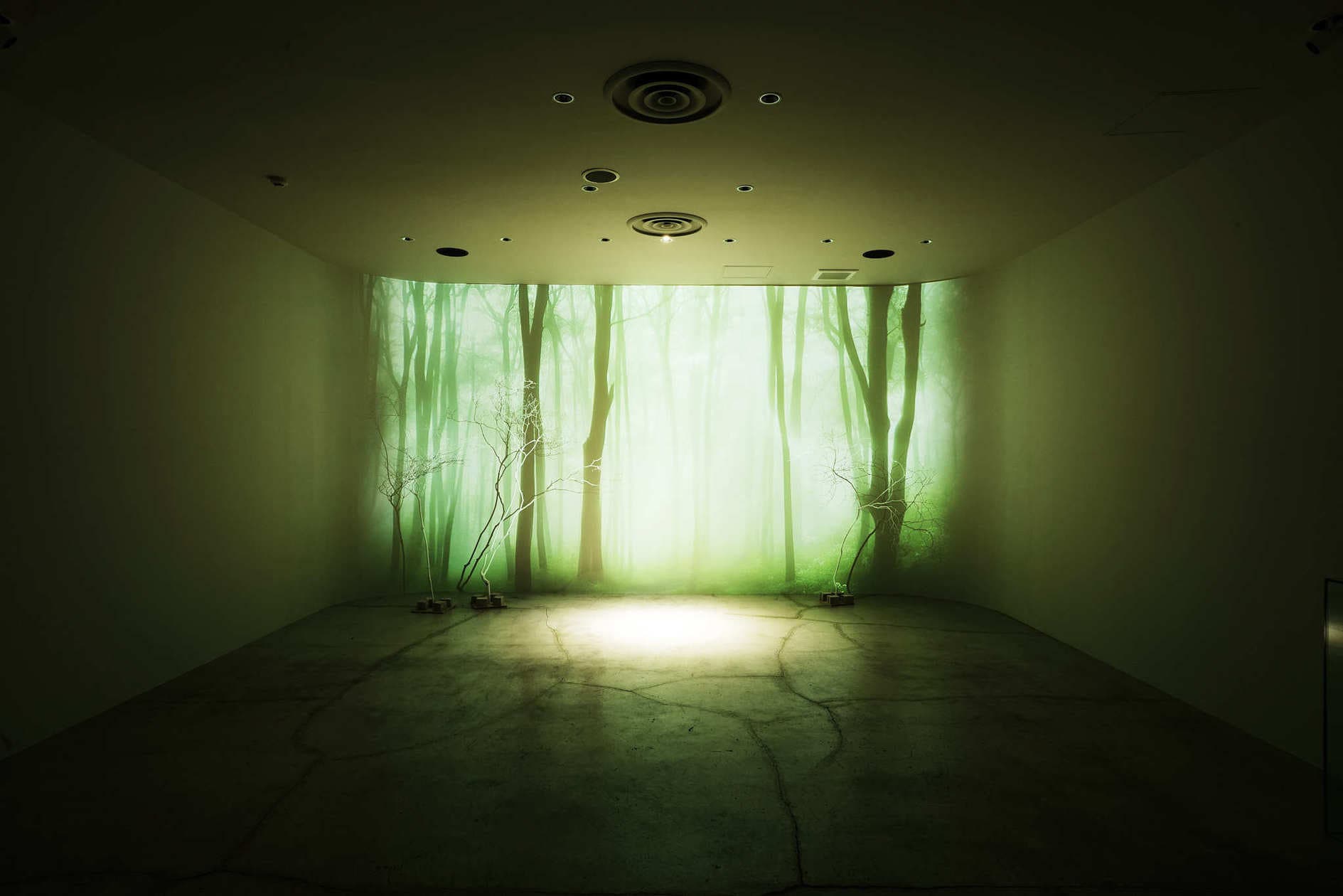 壁一面にプロジェクターが映せるスタジオ・音出しOK！MV撮影・PV撮影にピッタリな空間ですの写真13