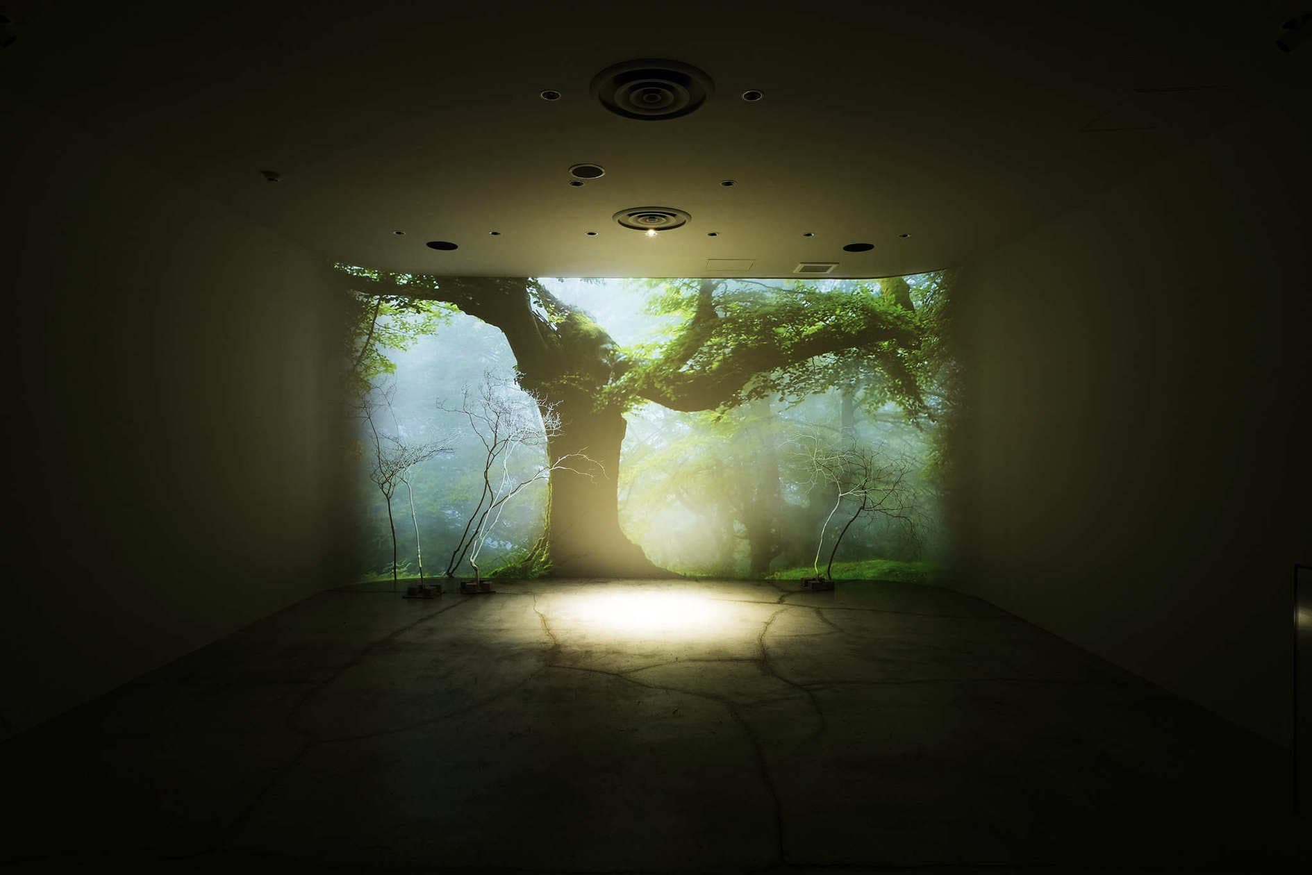 壁一面にプロジェクターが映せるスタジオ・音出しOK！MV撮影・PV撮影にピッタリな空間ですの写真14