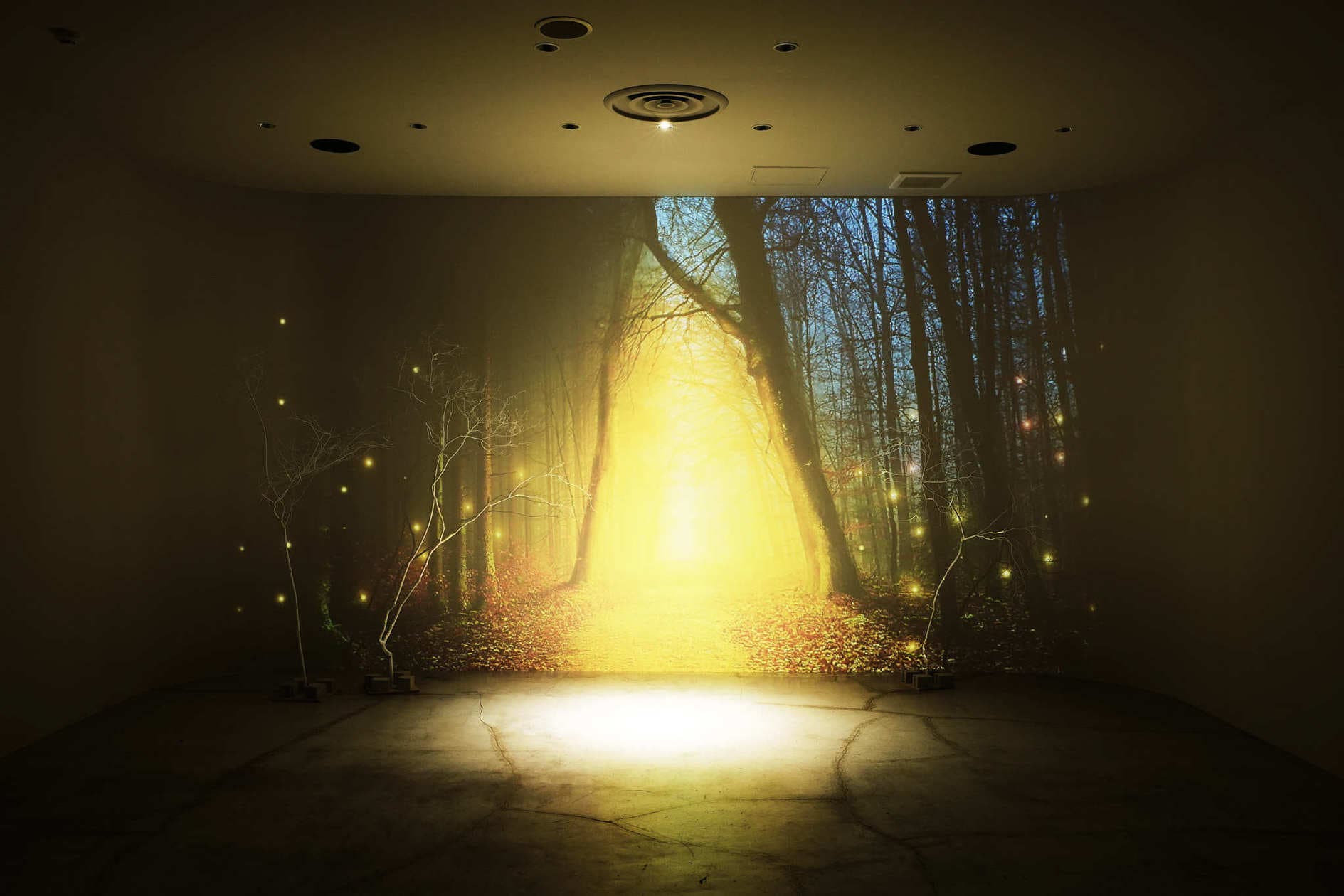 壁一面にプロジェクターが映せるスタジオ・音出しOK！MV撮影・PV撮影にピッタリな空間ですの写真15