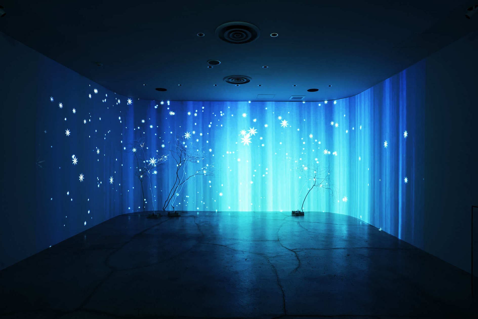 壁一面にプロジェクターが映せるスタジオ・音出しOK！MV撮影・PV撮影にピッタリな空間ですの写真5