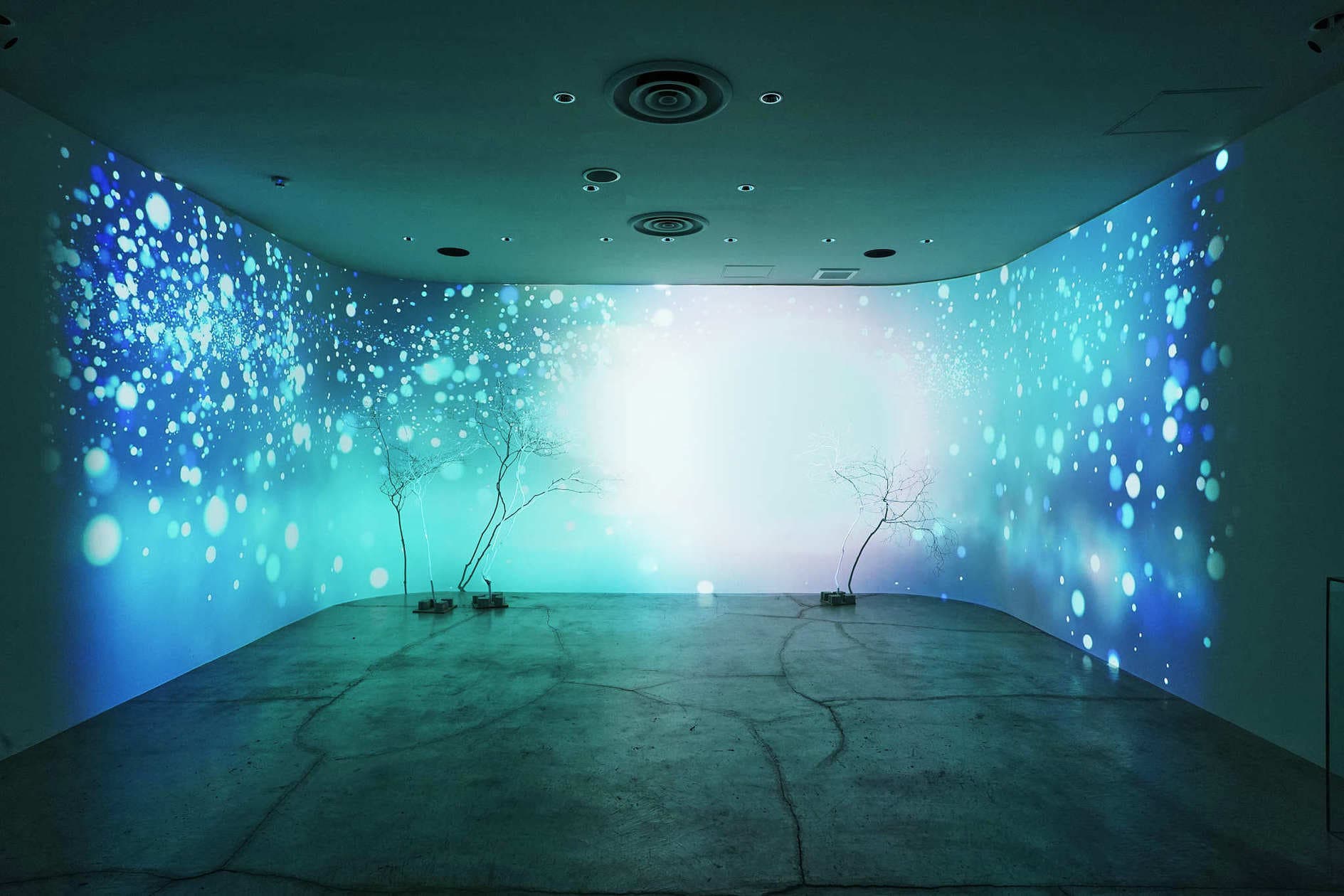 壁一面にプロジェクターが映せるスタジオ・音出しOK！MV撮影・PV撮影にピッタリな空間ですの写真12