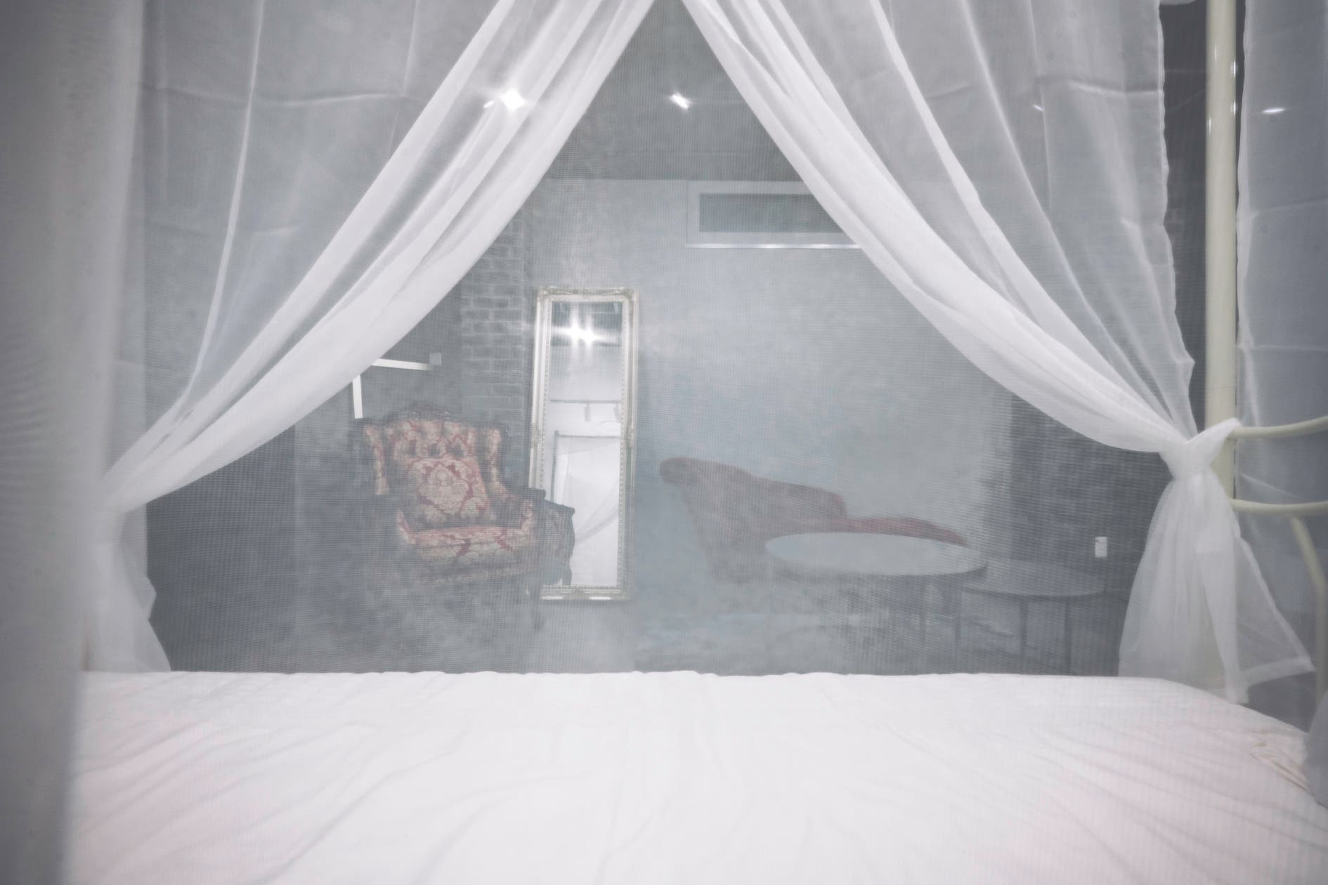 スペモ📷クリスマス🎄ゴージャス✨撮影Studio🌷白✕黒🦓撮影機材タダ💖ポートレート👗337_S−Studio六本木の写真9