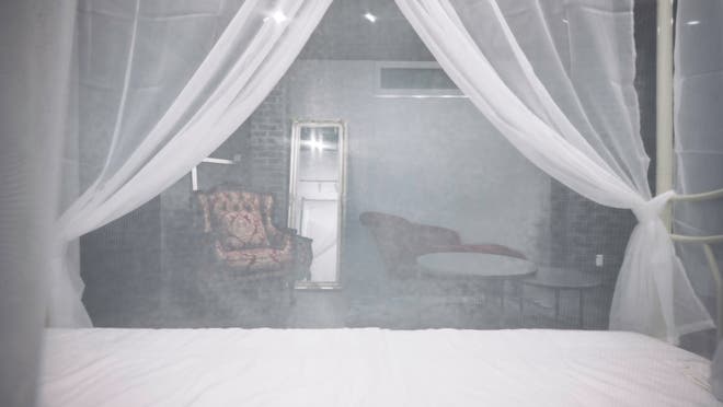 スペモ📷クリスマス🎄ゴージャス✨撮影Studio🌷白✕黒🦓撮影機材タダ💖ポートレート👗337_S−Studio六本木の写真9