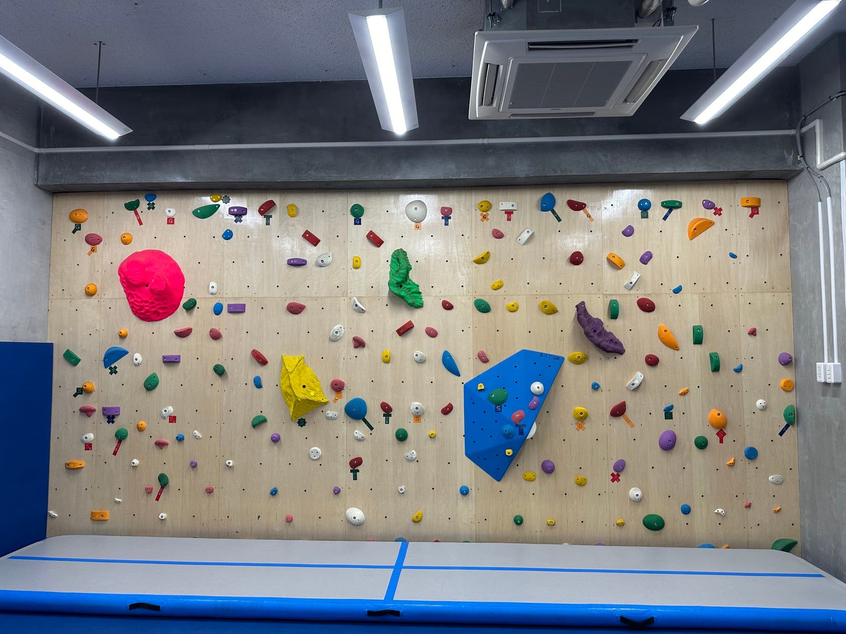 荻窪駅から徒歩5分のスポーツジムの写真6