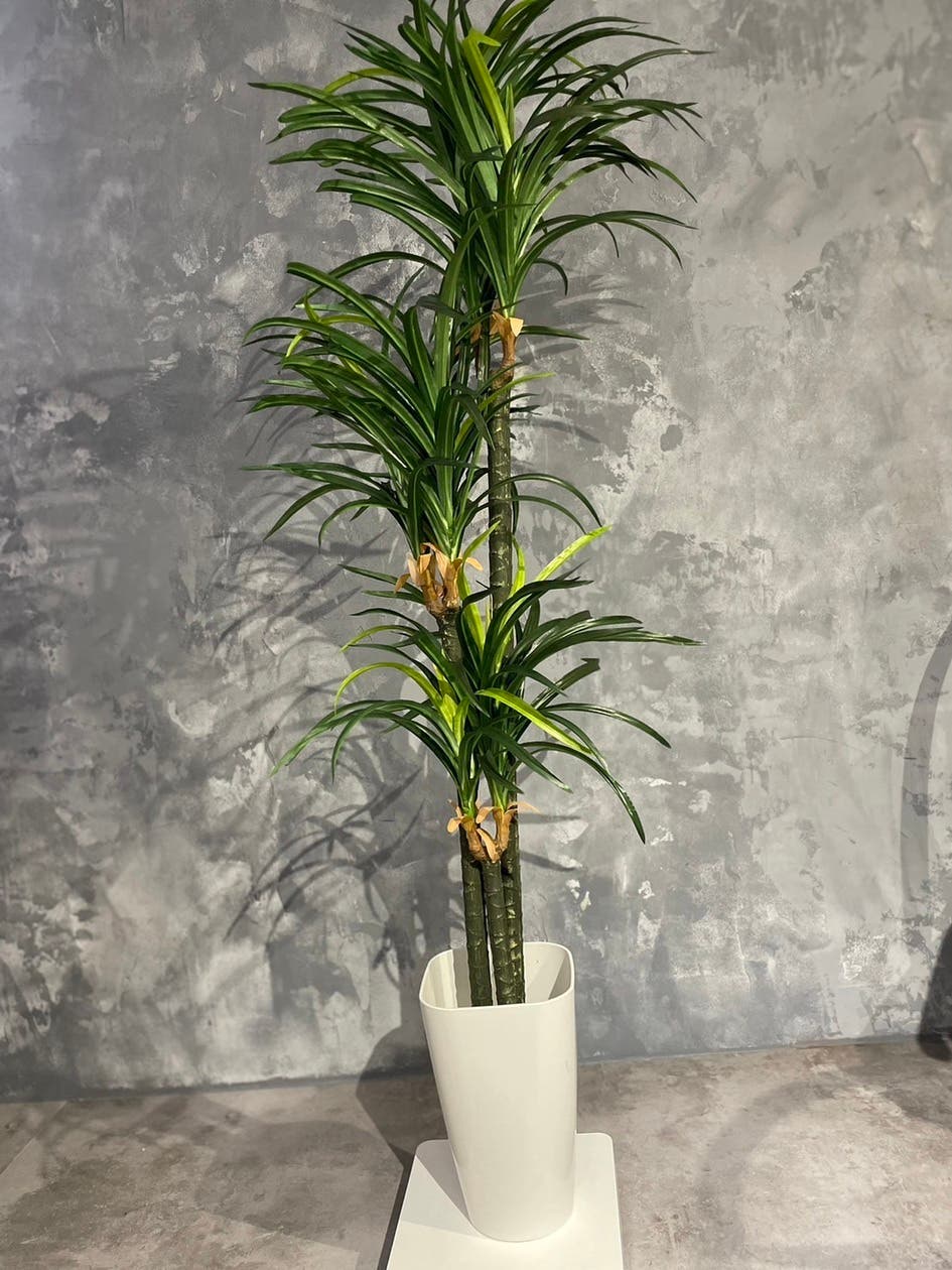 【東銀座駅1分】大型Ｌ字漆喰壁、対談動画配信、商品・動画撮影、ウェディング、家族、マタニティ、自然光3面、背景5、移動式パネルの写真13