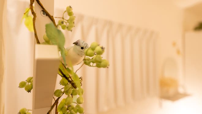 💎三軒茶屋駅6分💎電動昇降リクライニングベッド/レンタルタオル&使い捨て下着/ゴミ回収無料/駐輪場無料/豊富な設備と備品多数の写真18