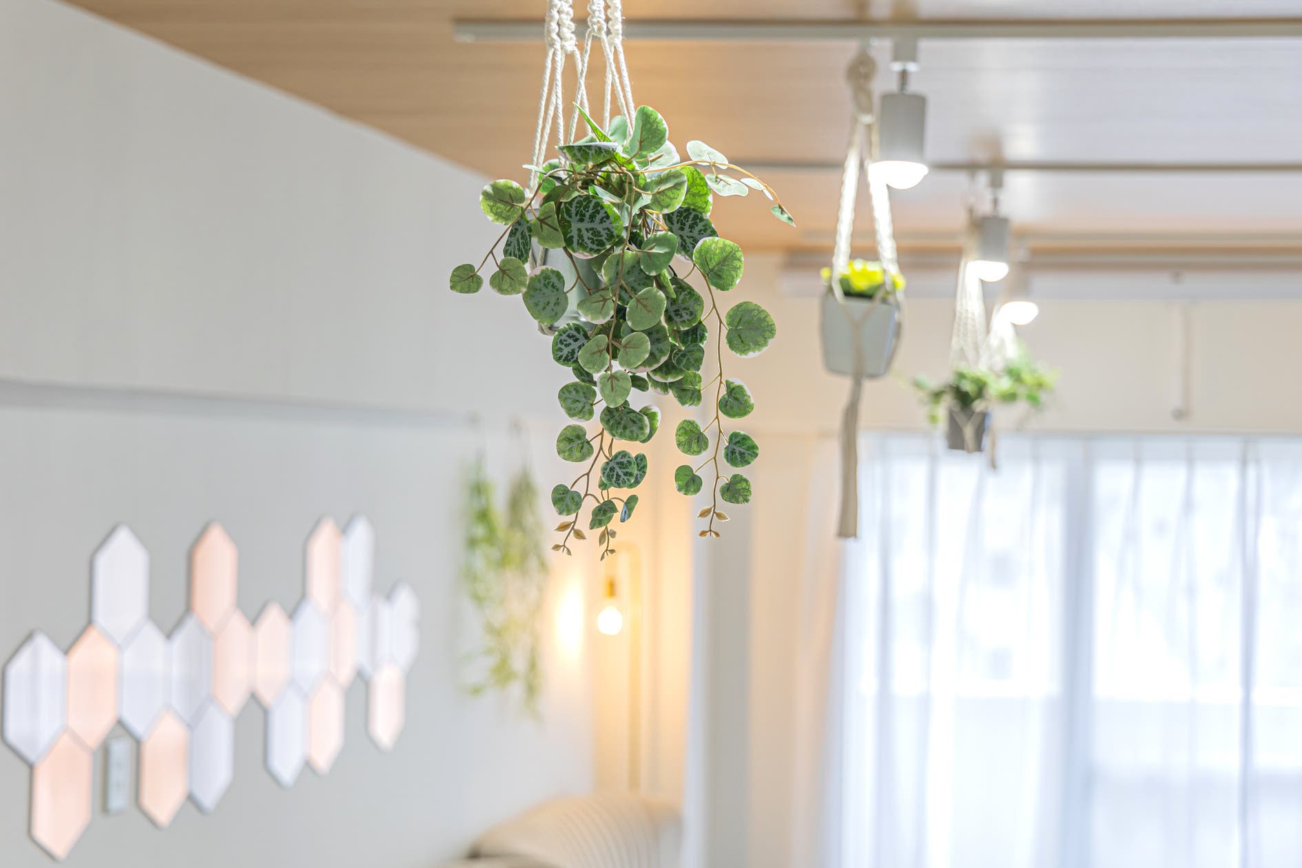 🌈コスパ最強🏆ベストホスト🏆100㌅超大型スクリーン/ドンキすぐ/最大30名/交流会・各イベント利用に最適/ゴミ無料👍の写真15