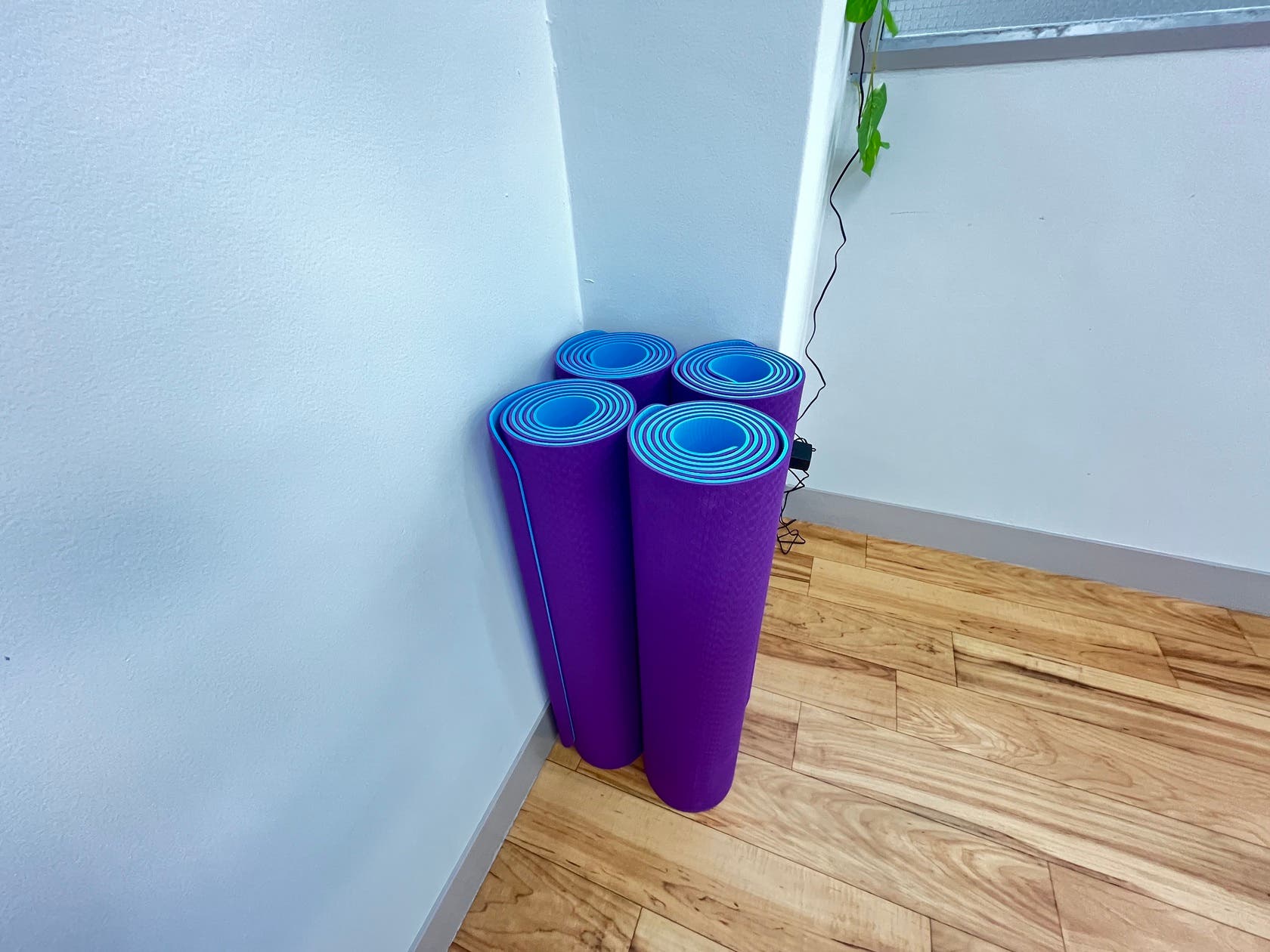 【JR大森駅東口徒歩6分/完全個室】施術ベッド・ヨガマット無料貸出あり｜整体・ストレッチ・少人数制レッスンに最適✨の写真6