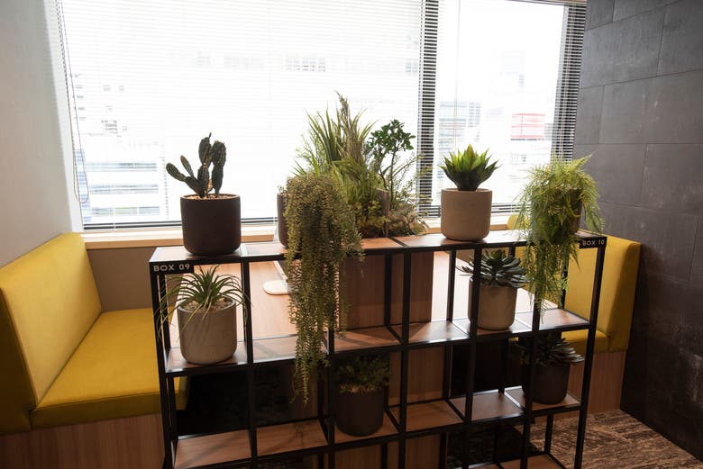 BOX 09(1名)の写真2