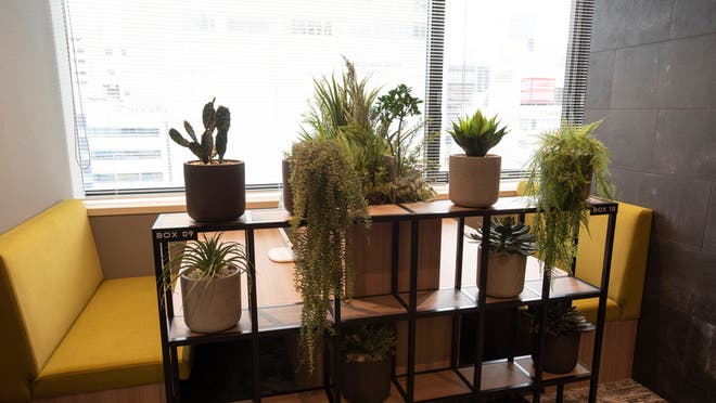 BOX 09(1名)の写真2