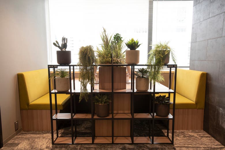 BOX 10(1名)の写真2