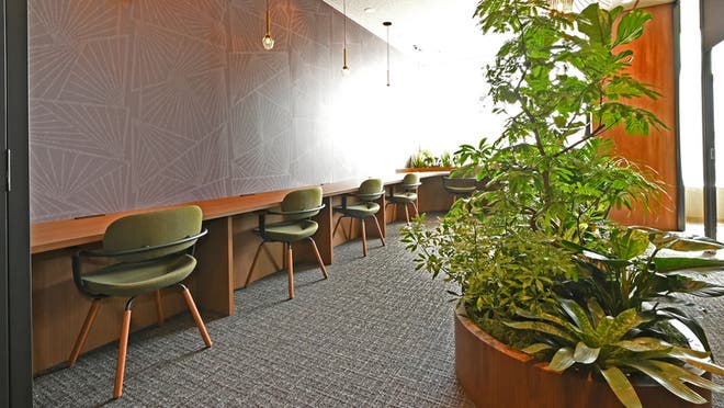 BOX 03(1名)の写真2