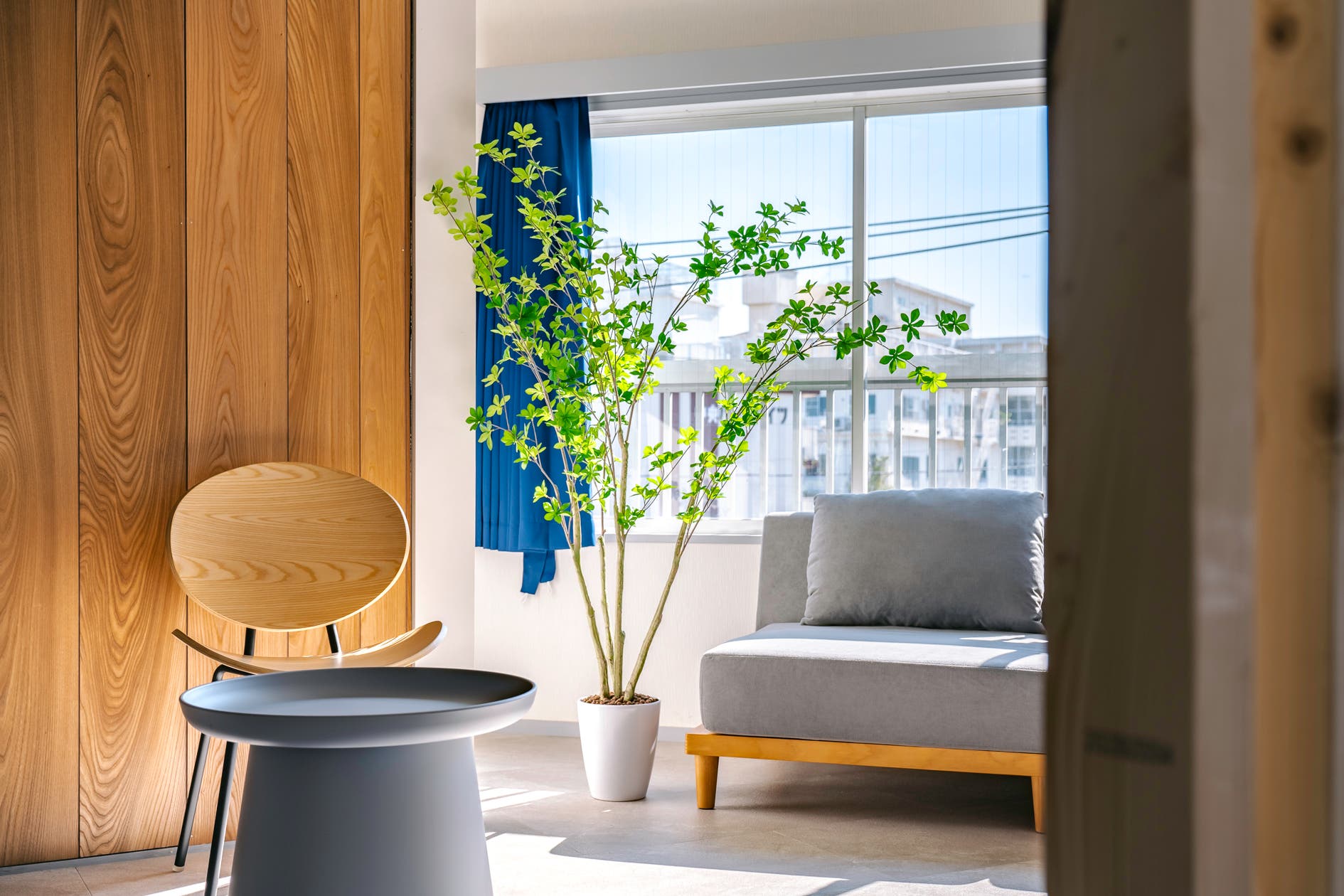 スペモ📷クリスマス🎄新小岩駅15分🚶SNS映え✨キレイな撮影Studio💓ポートレート👗458_COCOTORU新小岩の写真6