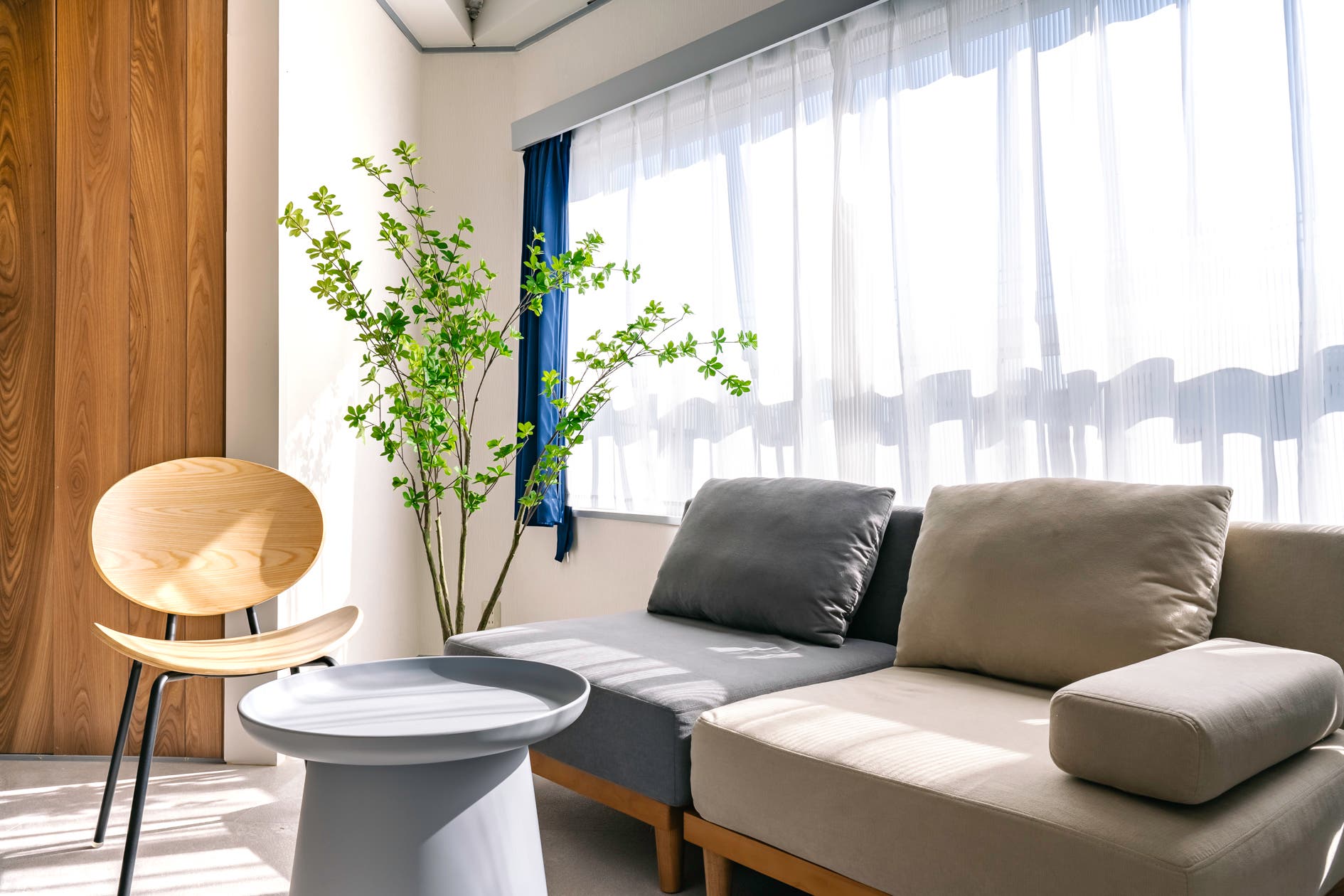 スペモ📷クリスマス🎄新小岩駅15分🚶SNS映え✨キレイな撮影Studio💓ポートレート👗458_COCOTORU新小岩の写真12