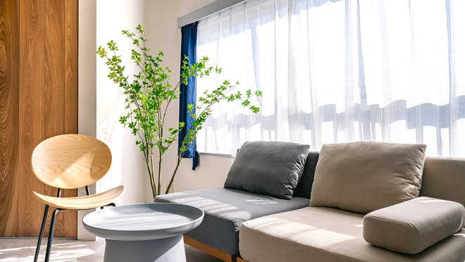 スペモ📷クリスマス🎄新小岩駅15分🚶SNS映え✨キレイな撮影Studio💓ポートレート👗458_COCOTORU新小岩の写真12