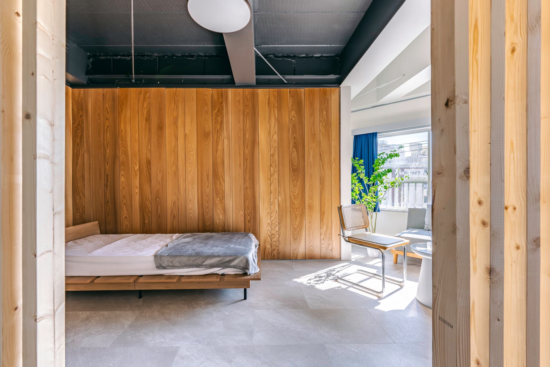 スペモ📷クリスマス🎄新小岩駅15分🚶SNS映え✨キレイな撮影Studio💓ポートレート👗458_COCOTORU新小岩の写真15