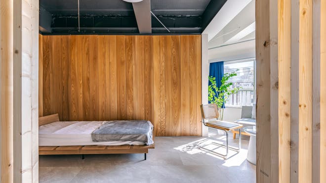 スペモ📷クリスマス🎄新小岩駅15分🚶SNS映え✨キレイな撮影Studio💓ポートレート👗458_COCOTORU新小岩の写真15