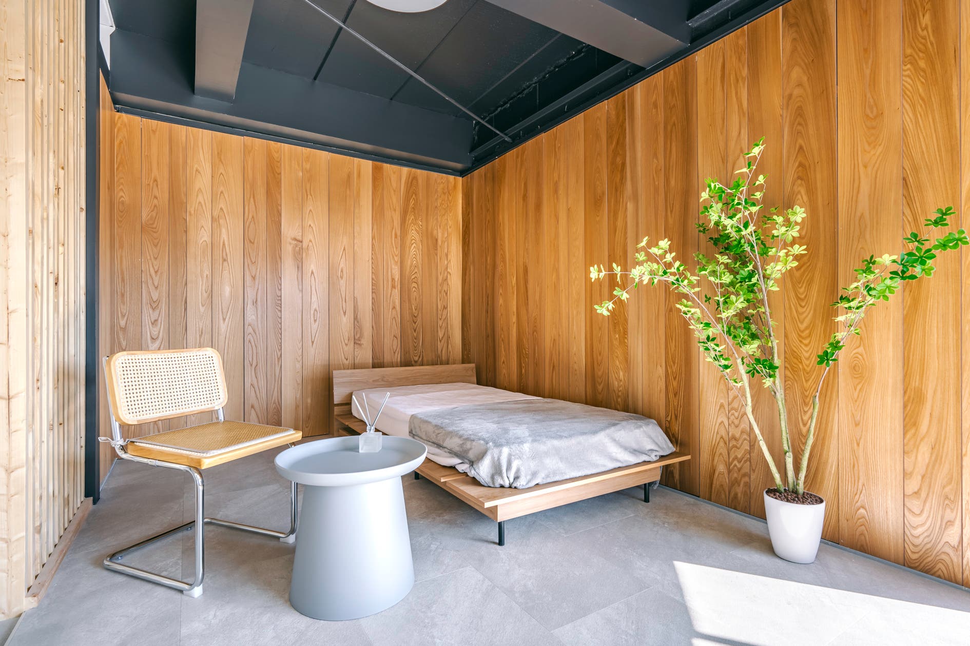 スペモ📷クリスマス🎄新小岩駅15分🚶SNS映え✨キレイな撮影Studio💓ポートレート👗458_COCOTORU新小岩の写真16