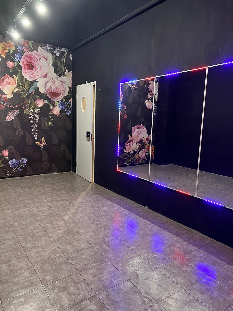 伏見駅E出口から徒歩1分のアレクサ対応虹色照明ダンススタジオの写真5