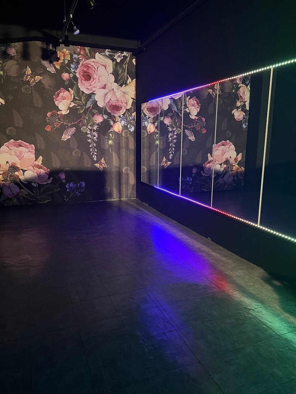 伏見駅E出口から徒歩1分のアレクサ対応虹色照明ダンススタジオの写真9