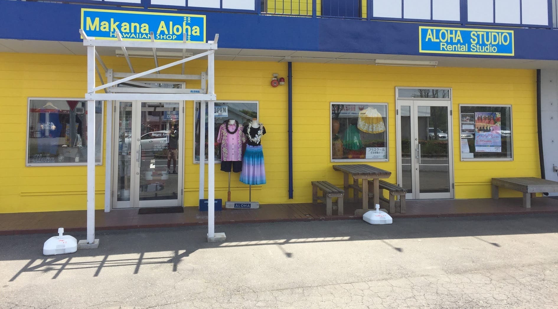 前面鏡張り　フラダンス　ヒップホップダンス　その他ダンス　サークル等の集まりに！！の写真4