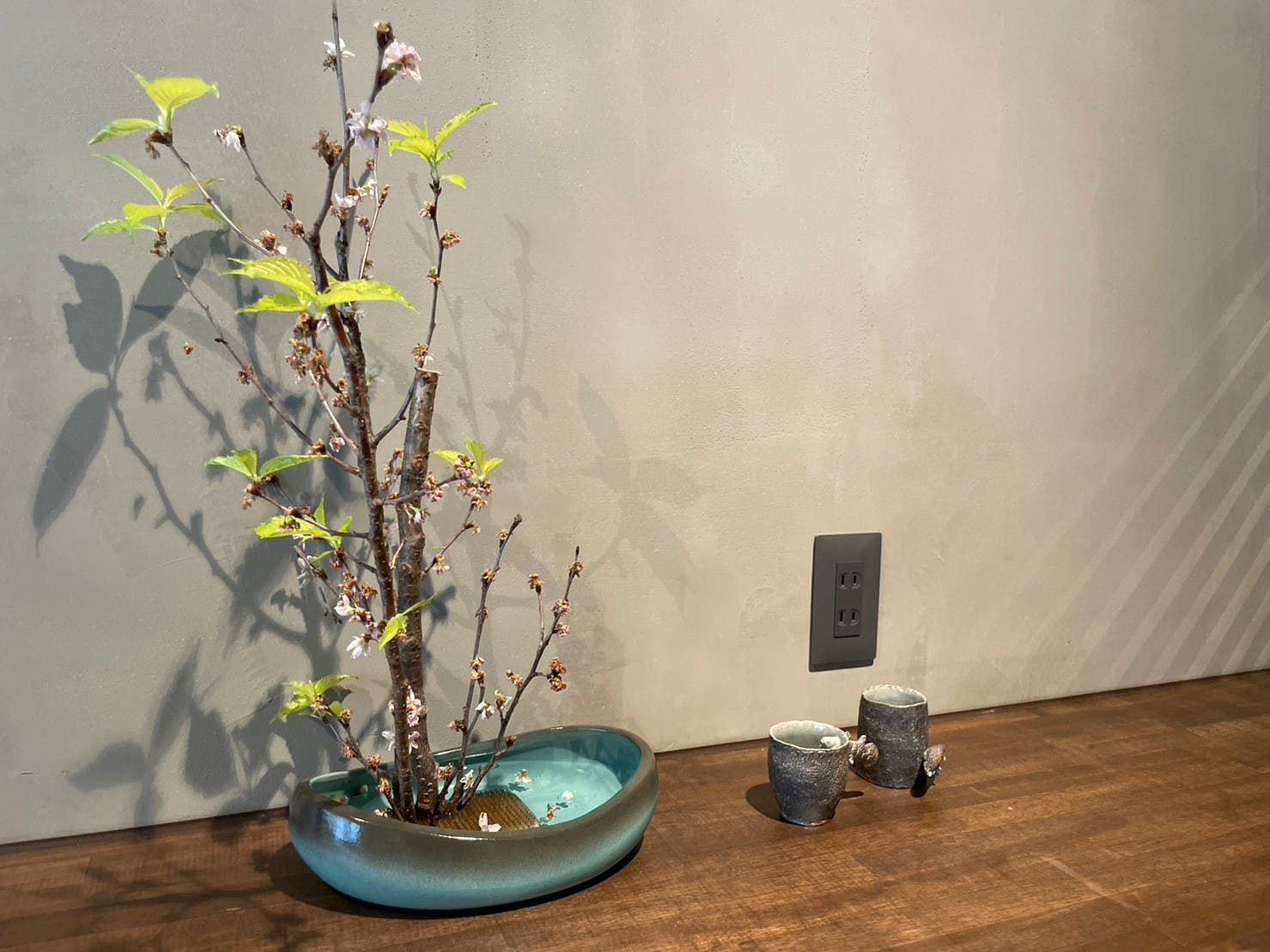 【美栄橋駅 徒歩5分】花教室🌸ロケ収録・スタジオ撮影🎥会議・打ち合わせ🖊アパレル・ポップアップ👗控室✨️の写真15