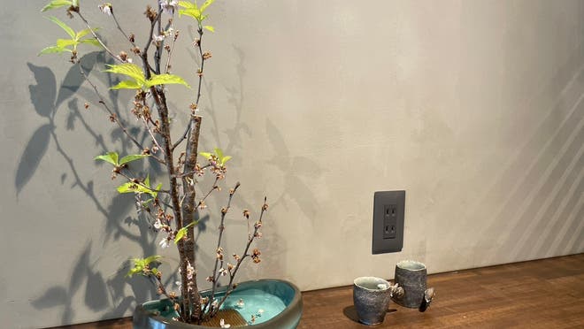 【美栄橋駅 徒歩5分】花教室🌸ロケ収録・スタジオ撮影🎥会議・打ち合わせ🖊アパレル・ポップアップ👗控室✨️の写真15