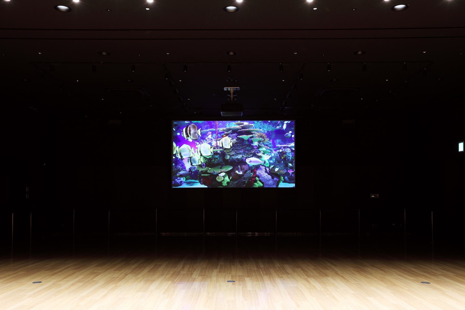 スペモ🏵立川北駅4分🚶セミナー🤵入社式🎊発表会や講演会などに最適✨大人数大歓迎💓478_KOTOBUKIYA-Hallの写真7