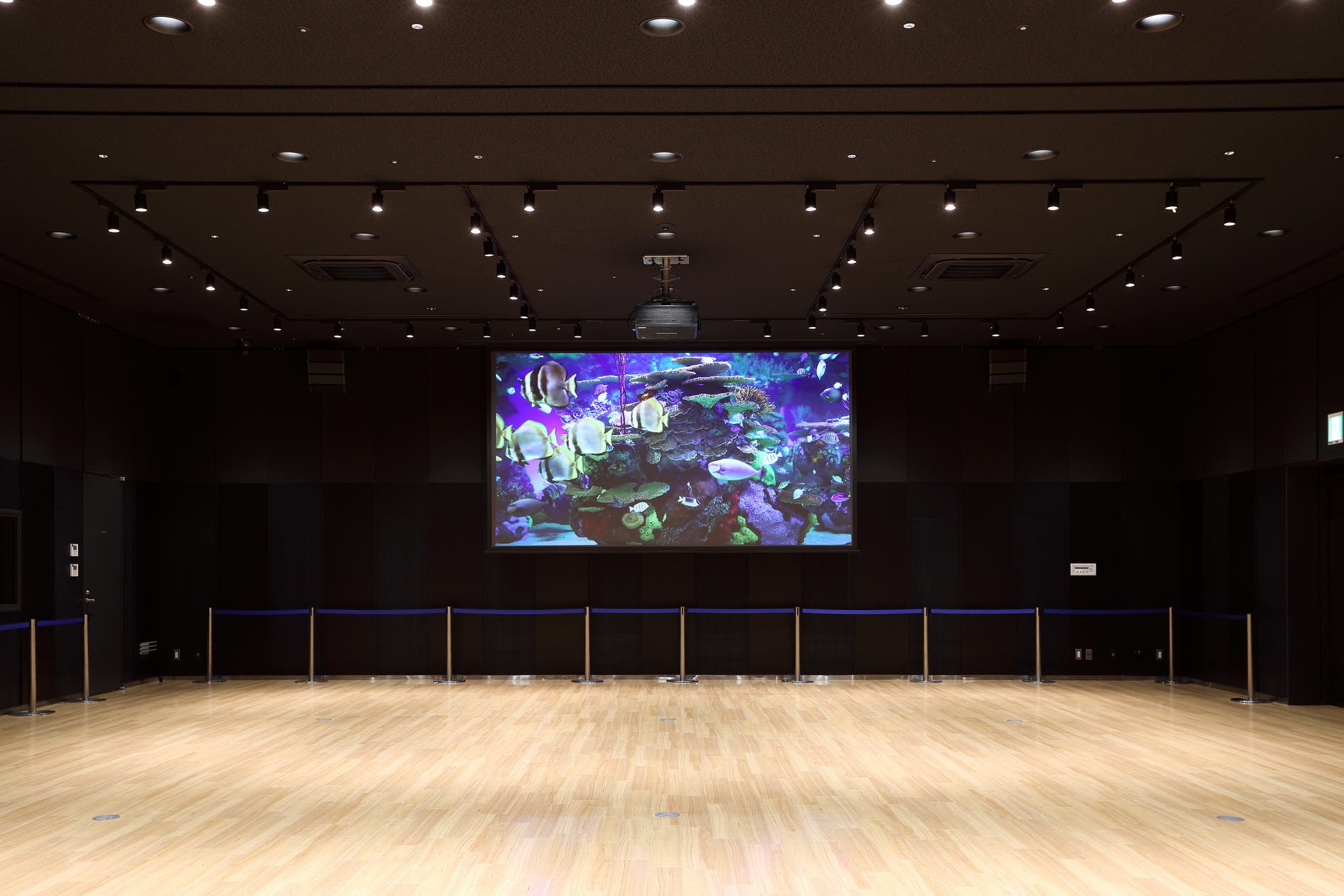 スペモ🏵立川北駅4分🚶セミナー🤵入社式🎊発表会や講演会などに最適✨大人数大歓迎💓478_KOTOBUKIYA-Hallの写真8