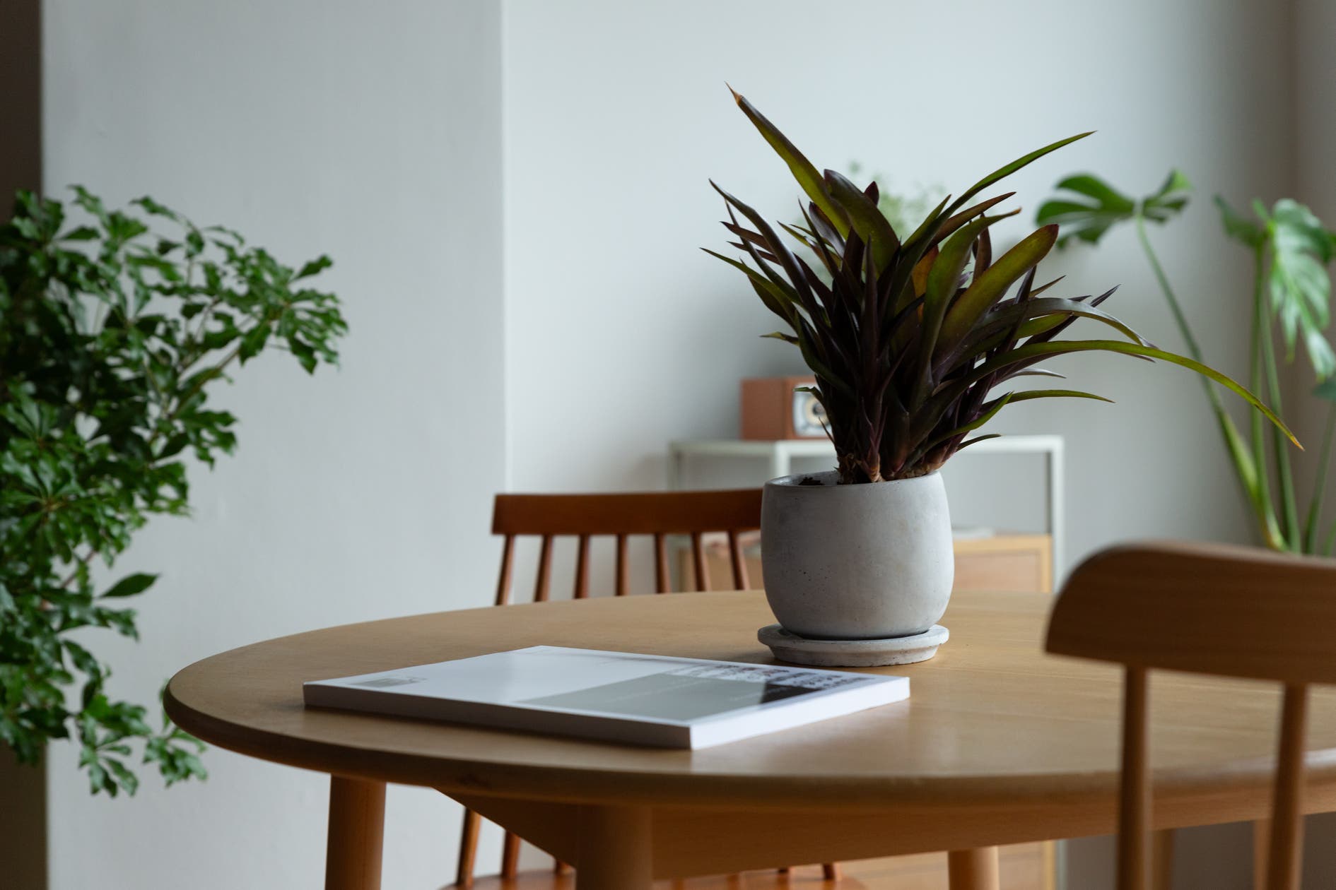 大阪市西区｜撮影スタジオ｜haus402(ハウスヨンマルニ）の写真6