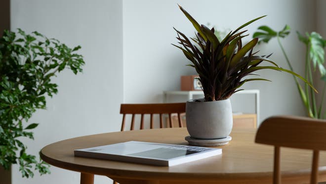 大阪市西区|撮影スタジオ|haus402(ハウスヨンマルニ)の写真6