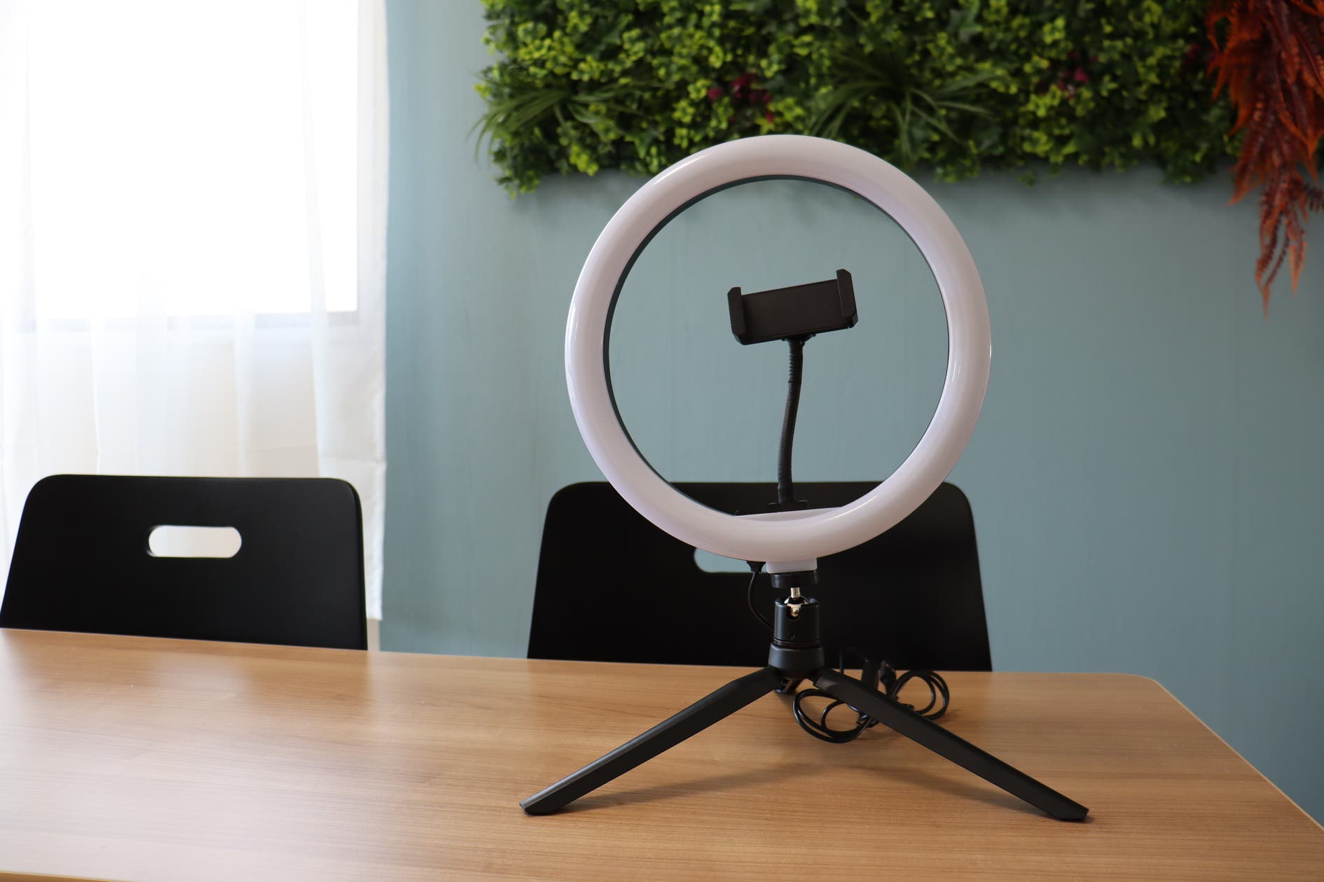 新宿★新規オープン★新宿三丁目E1徒歩20秒★Wi-Fiプロジェクター【新宿フォレストスペース】の写真7