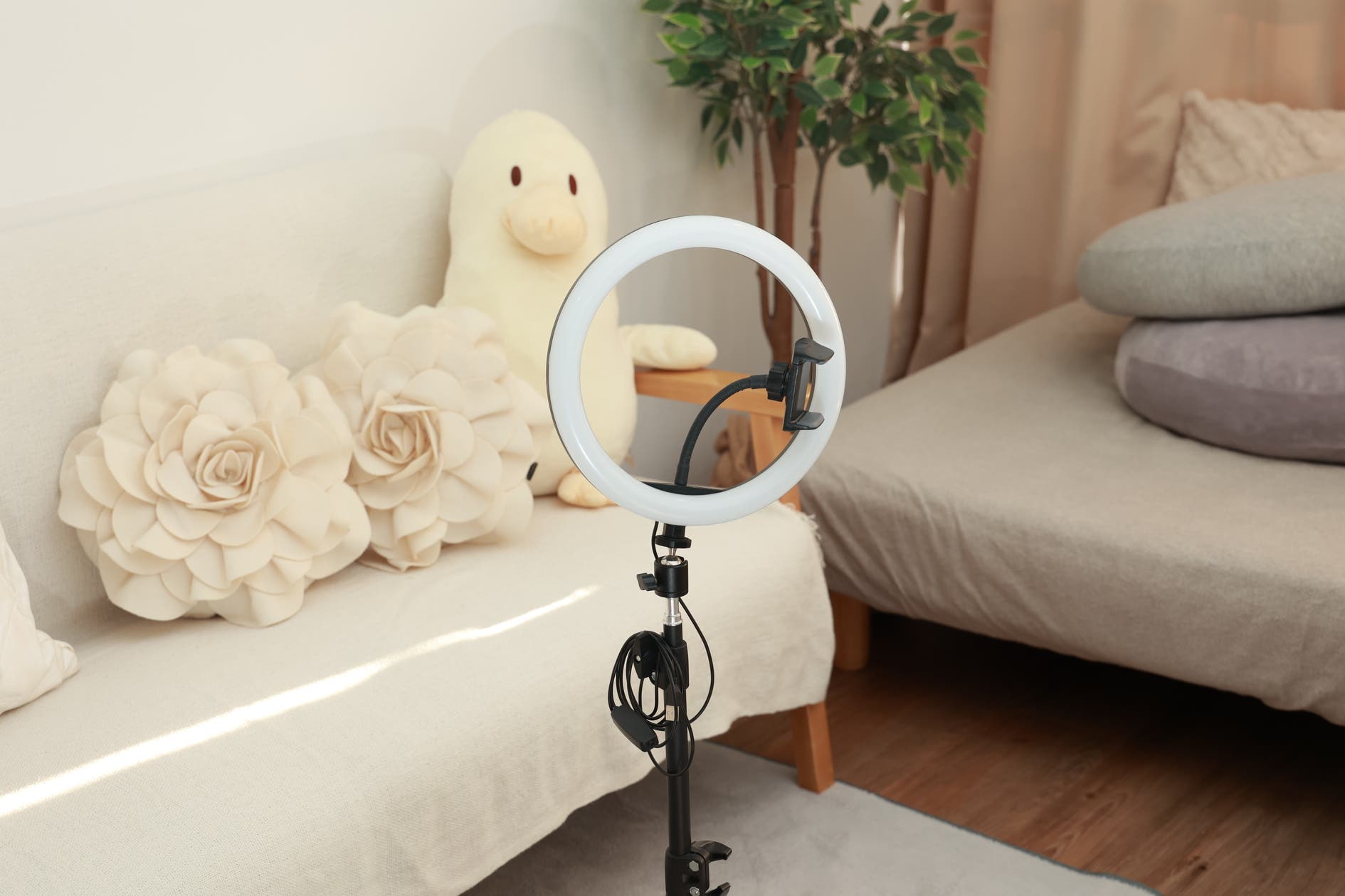 スペモ🌿クリスマス🎄歓送迎会🎊代官山駅1分🚶採光✨撮影📸ポートレート👗デート💓479_NAPPYROOM恵比寿の写真17